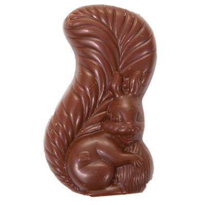 Milk Chocolate Squirrels - 34G - Quiggin's Kendal Mint Cake